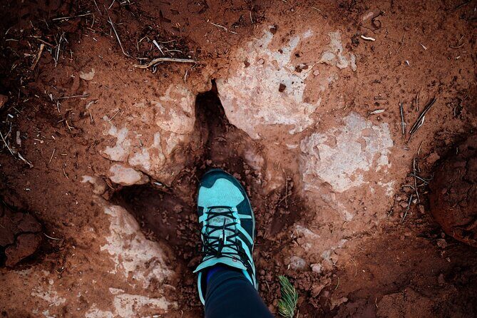 Babylon Arch Hike and Desert Wildlife Adventure - An In-Depth Look at the Babylon Arch and Desert Wildlife Adventure