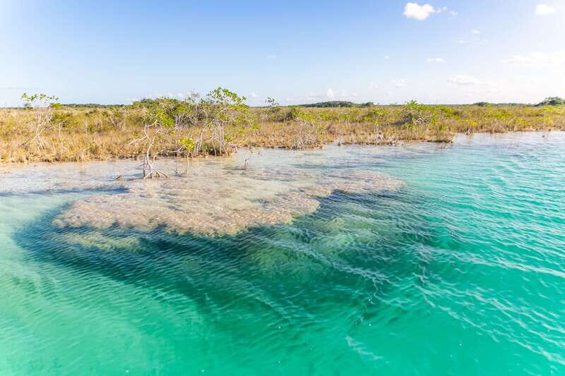 Bacalar: 3 Hour Boat Trip with Swimming & Drinks - The Sum Up