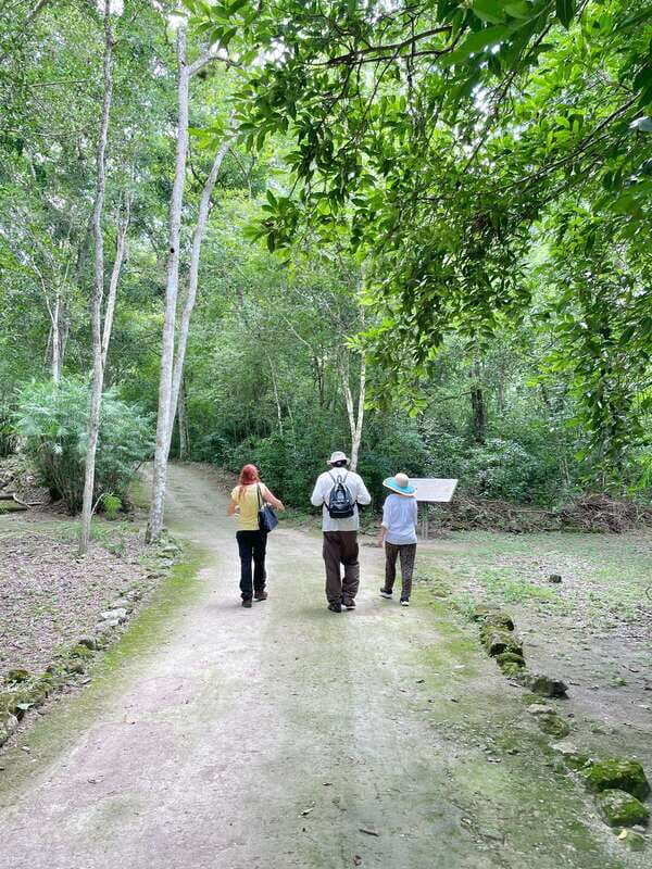 Bacalar: Calakmul daytour ruins and walk in the jungle.. - Walking Through the Jungle