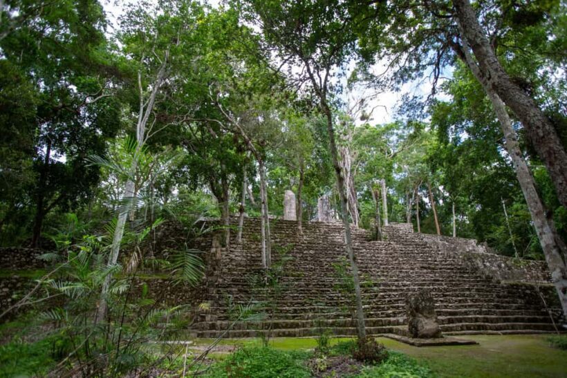 Bacalar: Calakmul daytour ruins and walk in the jungle.. - Climbing the Temples: Views and Vistas