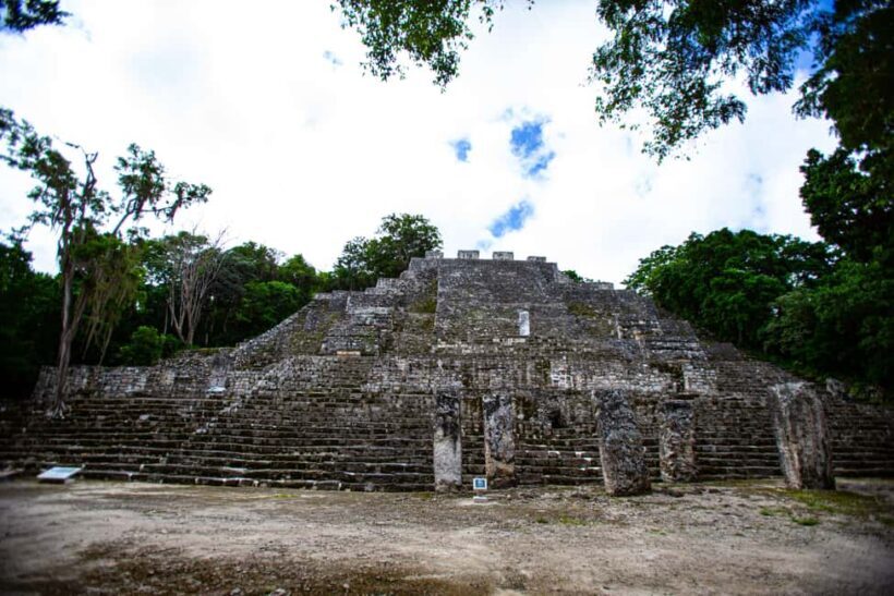 Bacalar: Calakmul daytour ruins and walk in the jungle.. - Wildlife and Natural Beauty