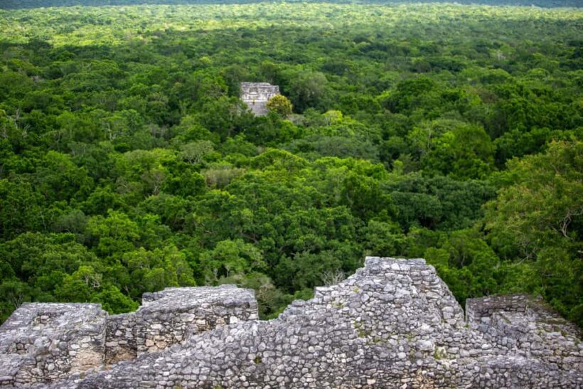Bacalar: Calakmul daytour ruins and walk in the jungle.. - Final Thoughts
