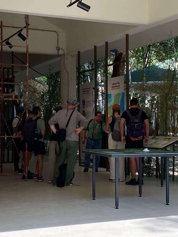 Bacalar: Calakmul Ruins Day Trip with a Stop In The Jungle - Practical Tips for Travelers