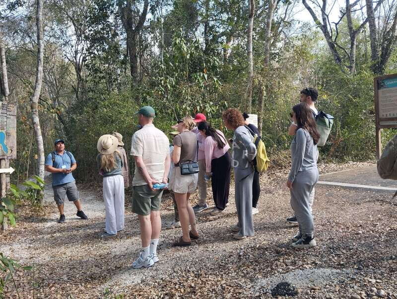 Bacalar: Calakmul Ruins Day Trip with a Stop In The Jungle - Final Thoughts: Is It Worth It?