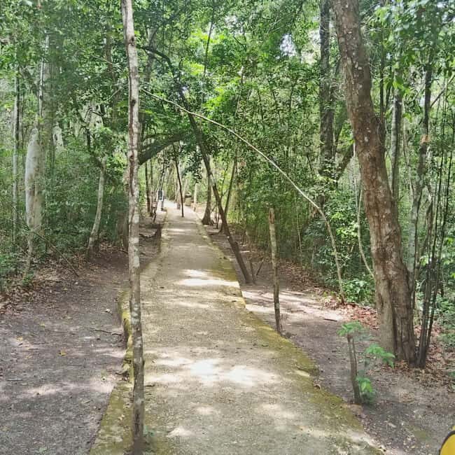 Bacalar: Calakmul ruins tour jungle and the bat volcano.. - The Logistics: Timing and Practical Tips