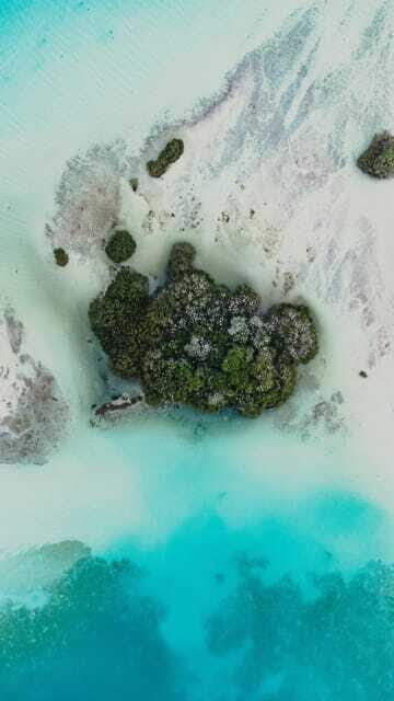 Bacalar & Cenotes: 3 hours kayak rental with snorkeling gear - FAQ