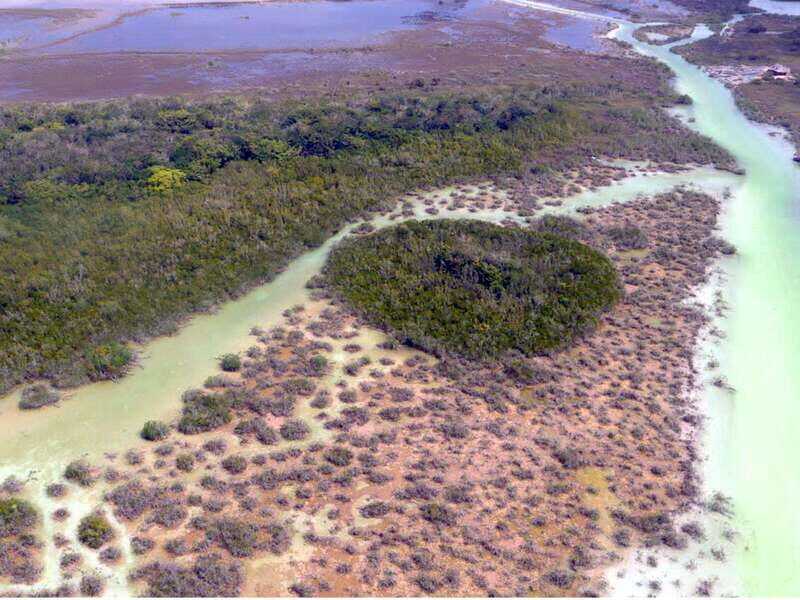 Bacalar: Explore the Pirate Route and Laguna Islet. - Final Activities and Return