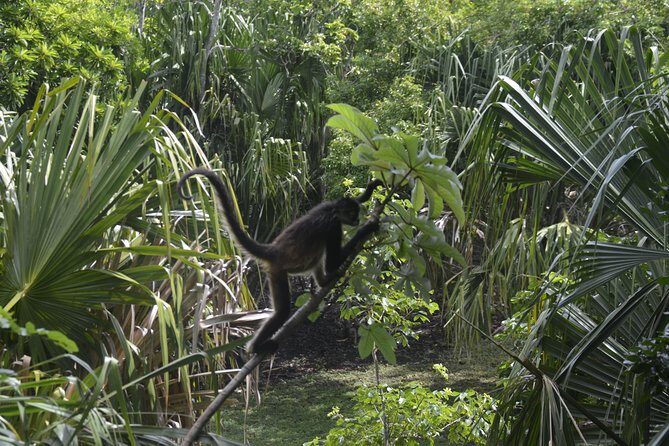 Bacalar Lagoon & Chacchoben Mayan Ruins from Costa Maya - The Sum Up: Who Should Consider This Tour?