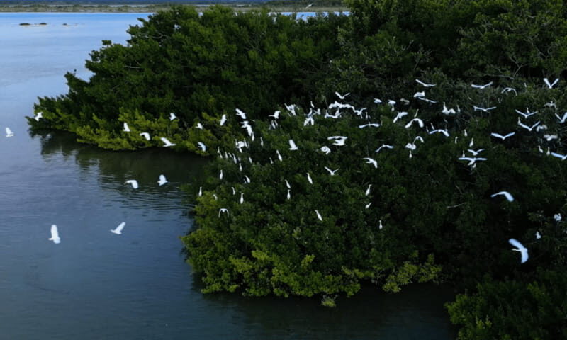 Bacalar: Lagoon, Pirate Canal, Stromatolite Day Trip w/Lunch - Authenticity and Value — What Our Research Tells Us