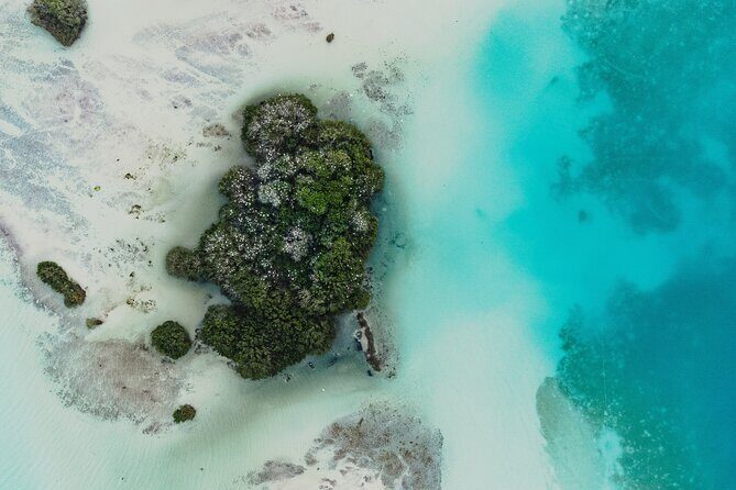 Bacalar Lagoon Sightseeing Boat Tour with Open Bar and Snacks - The Experience: What to Expect on the Bacalar Lagoon Boat Tour