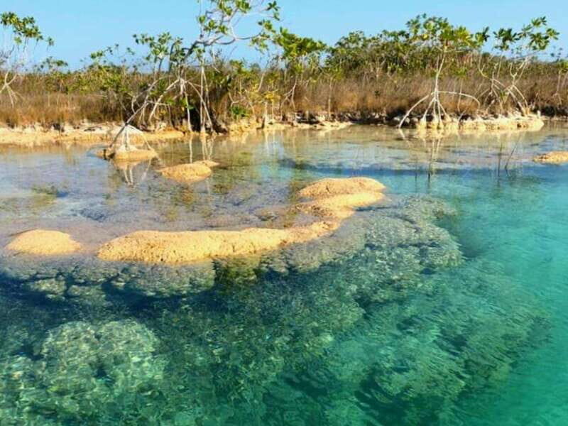 Bacalar: Magnificent Bacalar Lagoon Exclusive Boat Tour - Authentic Encounters and Environmental Respect
