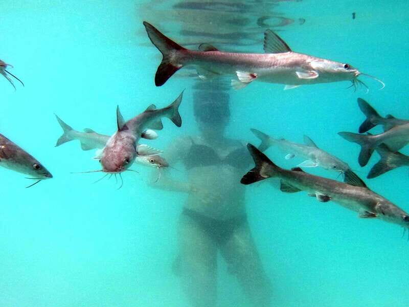 Bacalar: Magnificent Bacalar Lagoon Exclusive Boat Tour - FAQ