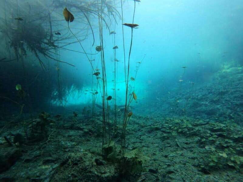 Bacalar: Magnificent Bacalar Lagoon Exclusive Boat Tour - Final Thoughts