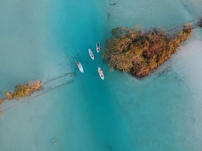 Bacalar: Private SUP Tour - An In-Depth Look at the Bacalar SUP Tour