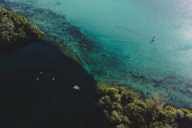 Bacalar Sunrise Stand Up Paddleboard Tour with Breakfast & Photos - A Deep Dive Into the Experience