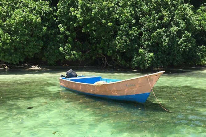 Bacardi Island (Cayo Levantado) Day Pass - The Value of This Tour