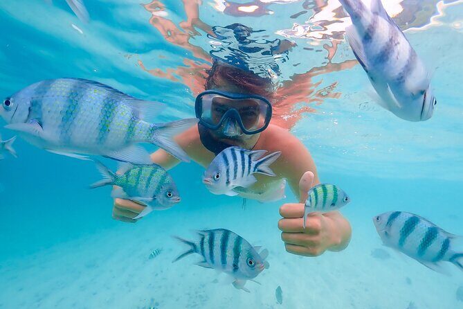 Bacardi Island Excursion with Catamaran, Beach and Lunch - Key Points