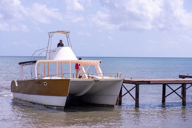 Bacardi Island Excursion with Catamaran, Beach and Lunch - FAQ