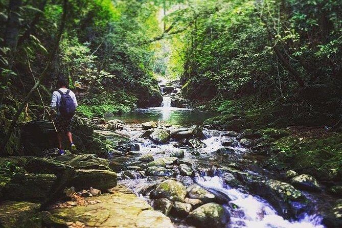 Bach Ma National Park 2-Day Trekking Private Tour - Key Points