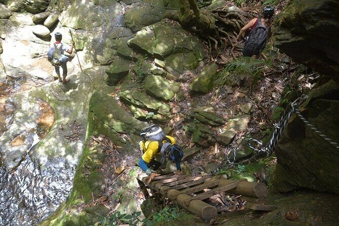 Bach Ma National Park Discovery Full Day Group Tour From Hue - Considerations and Realities of the Tour