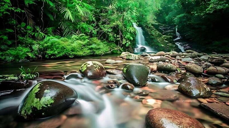 Bach Ma National Park Hiking Day Trip with Pickup from Hue - FAQ