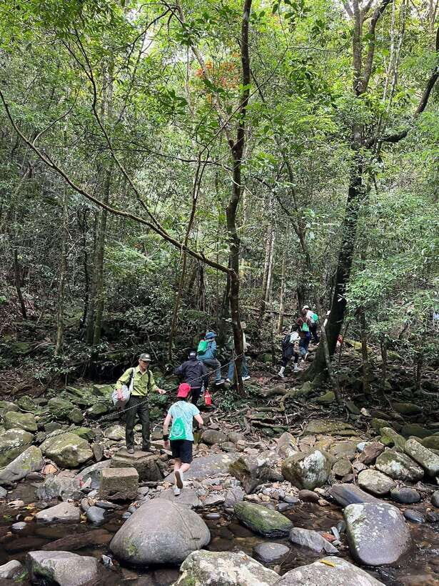 Bach Ma National Park Private Tour With Trekking, Waterfall - Ascending to Hai Vong Dai: The Summit at 1,450 Meters