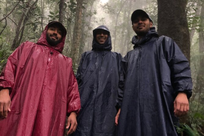 Bach Ma National Park trekking daily tour from Da Nang, Hoi An - Overview of the Tour