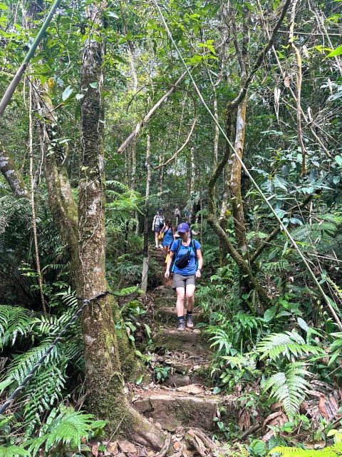 Bach Ma National Park Trekking Tour 1 Day From Hue City - Authentic Experiences and Authenticity