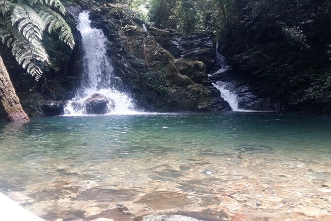 Bach Ma National Park Trekking Tour 1 Day From Hue city, Vietnam - Practical Details & What to Expect