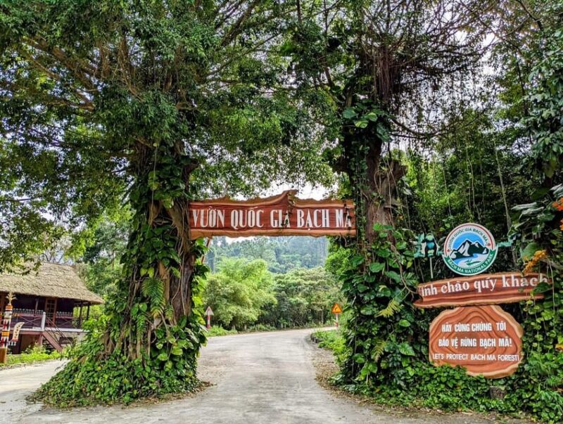 Bach Ma National Park Trekking Tour From Hue/Da Nang/Hoi An - Who Will Love This Tour?