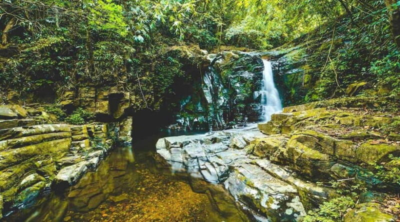 Bach Ma National Park Trekking Tour : Hoi An / Da Nang / Hue - Who Should Consider This Tour?