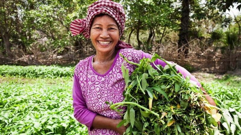 Back to Basics: Village Life Tour from Siem Reap - Authentic Experiences and Genuine Insights