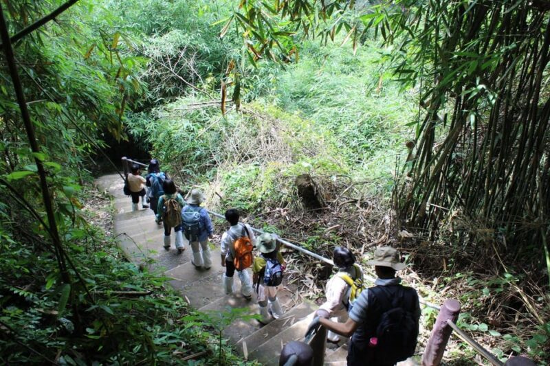 Back to Nature Trekking and Hiking at Khao Yai National Park - FAQ
