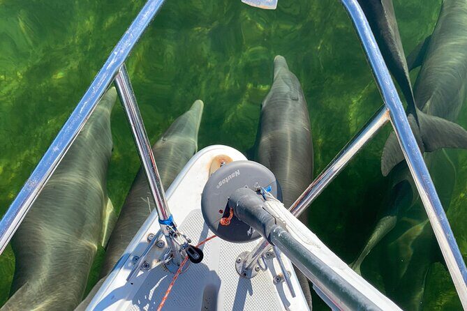 Backcountry Catamaran Bayside Sailing in Key Largo - An In-Depth Look at the Experience