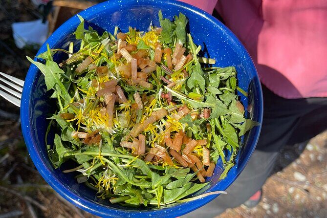 Backcountry Eats & Foraging Treats - The Itinerary in Detail