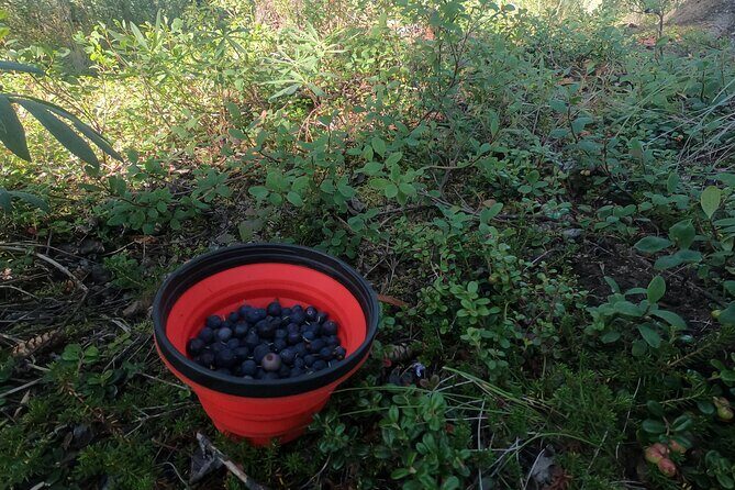 Backcountry Eats & Foraging Treats - FAQs