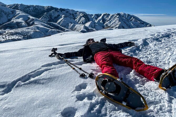 Backcountry snowshoeing in pristine Utah mountains - The Guides & Personal Touch