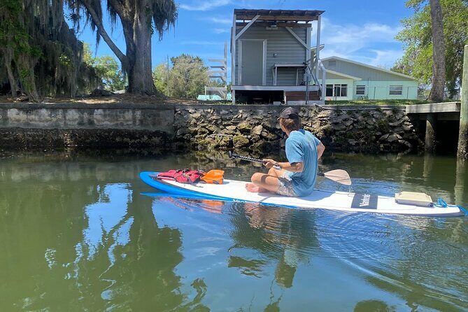 Backland Alligator Electric Paddle Tour - Who Will Enjoy This Tour?
