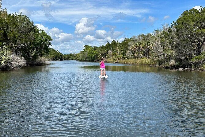 Backland Alligator Electric Paddle Tour - Final Thoughts