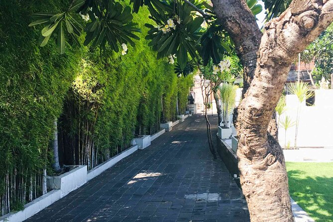 Backlanes and Hidden Sites: A Self-Guided Audio Tour in Seminyak - Who Should Consider This Tour?