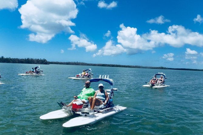 Backwater Adventure's CraigCat Tours of the 10,000 Islands - The Sum Up: Who Will Love This Tour?