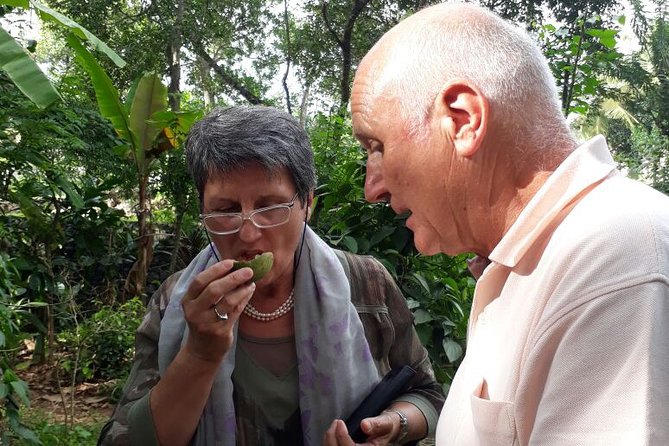 Backwaters of Kerala - Day 7: Return to Kochi and Departure