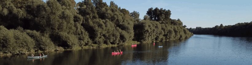 Bad Bellingen: Beginners Canoe Tour on the Altrhein - Practical Details and Tips