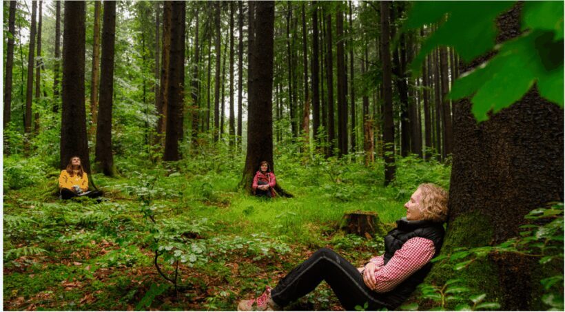 Bad Wörishofen: Shinrin-Yoku  Forest Bathing - Introduction