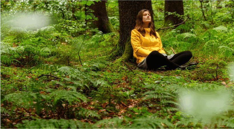 Bad Wörishofen: Shinrin-Yoku  Forest Bathing - Key Points