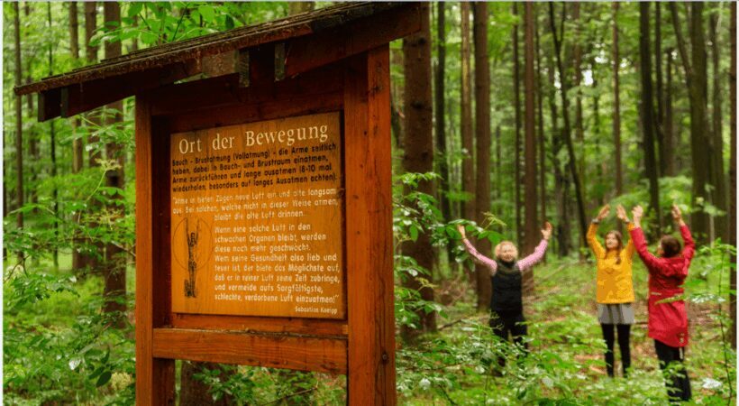 Bad Wörishofen: Shinrin-Yoku  Forest Bathing - The Itinerary and Setting