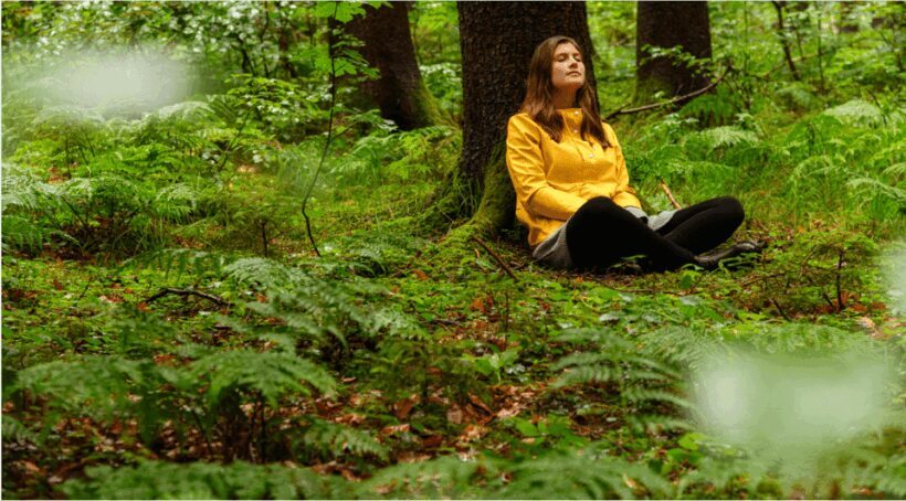 Bad Wörishofen: Shinrin-Yoku  Forest Bathing - Practical Details and Considerations