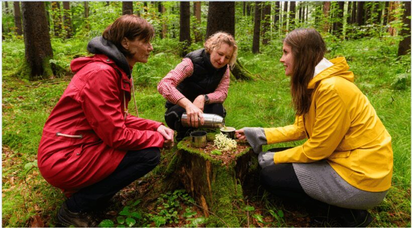 Bad Wörishofen: Shinrin-Yoku  Forest Bathing - The Sum Up