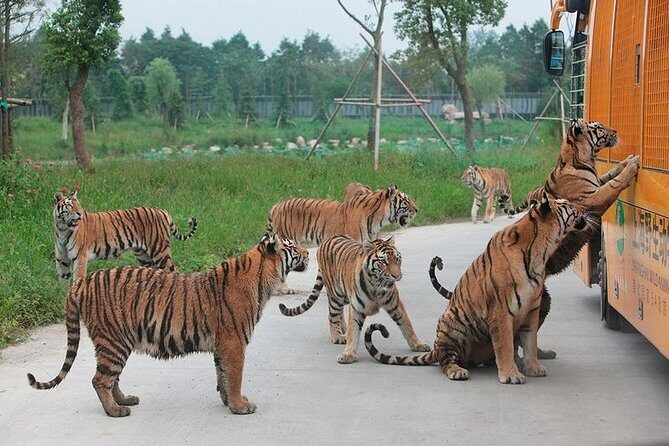 Badaling Wildlife World Private Tour from Beijing - Introduction
