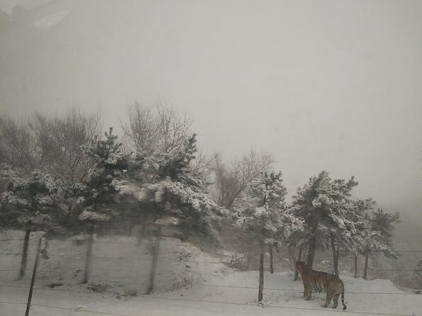 Badaling Wildlife World Private Tour from Beijing - Key Points